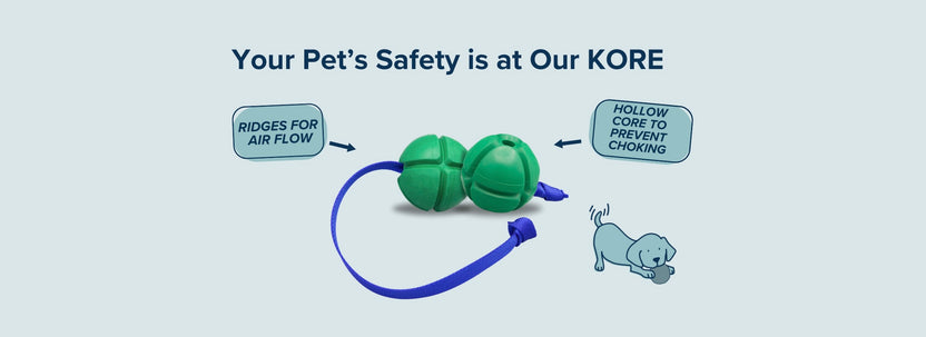 Premium Pet Toys & Grooming Tools | PetKORE